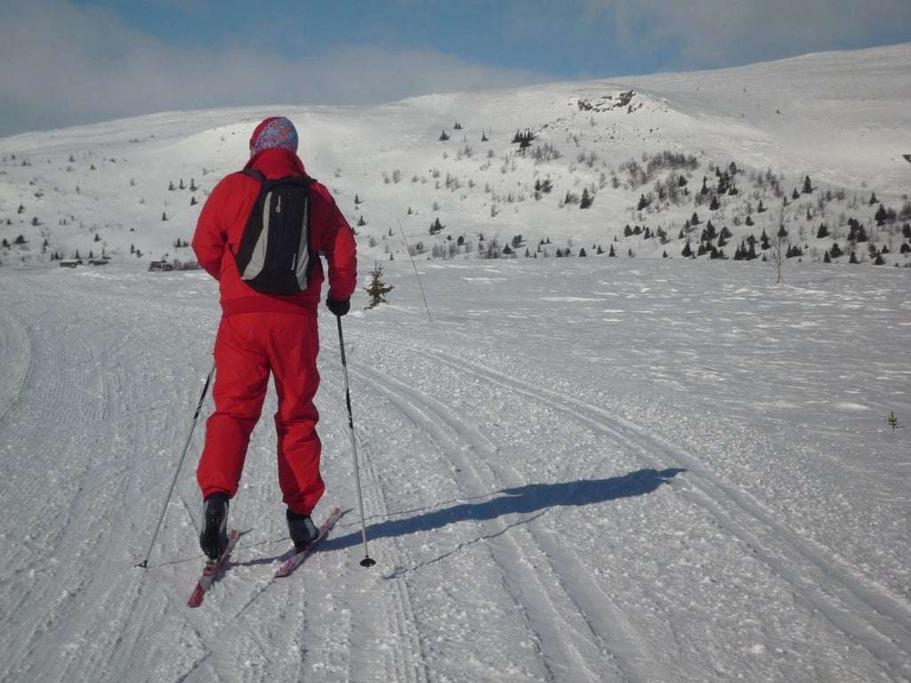 An Environmental Disaster on Ice: The Hidden Harms of Artificial Snow