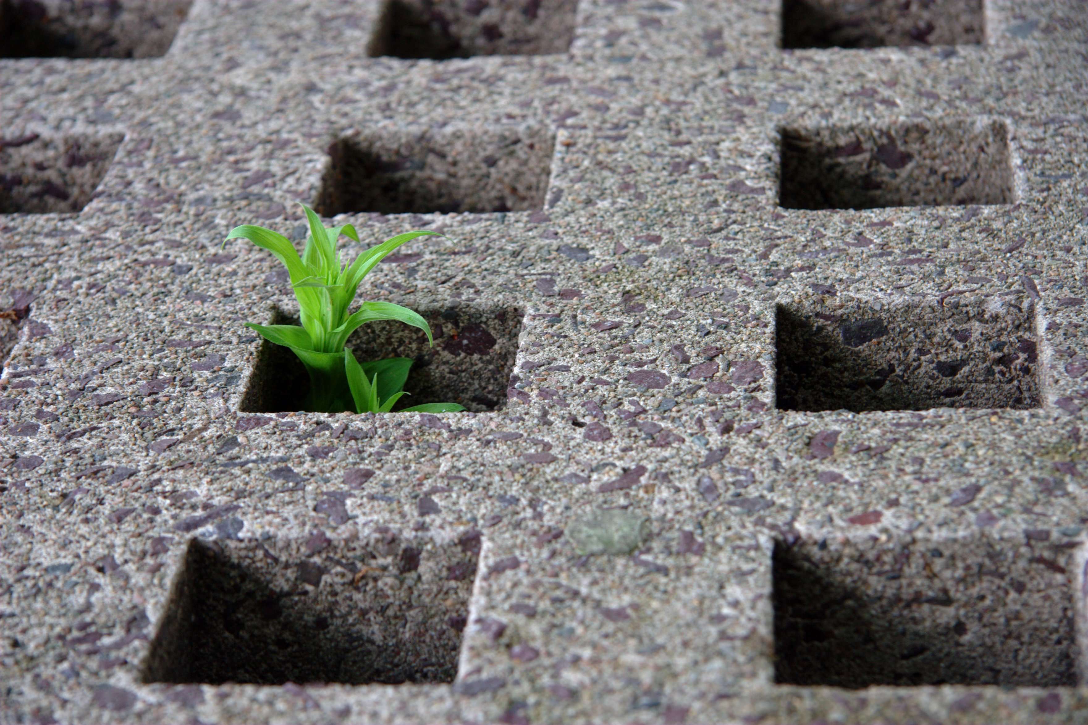 From Wave to Building: A Revolution in Using Seawater in Concrete
